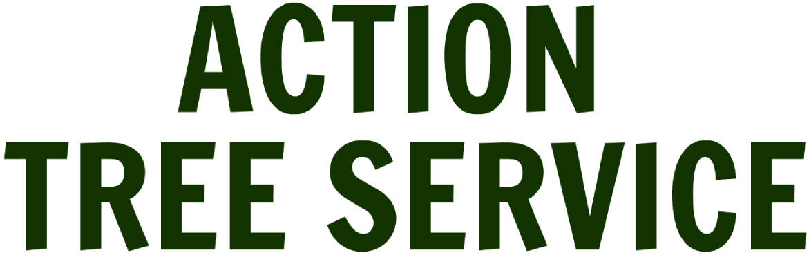 Action Tree Service Offers Tree Services in Port Royal, SC 29935